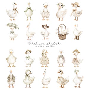 Watercolor Rustic Goose Clipart, Silly Goose PNG, Boho Nursery Decor ...