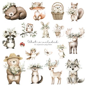 Watercolor Spring Forest Clipart, Cute Woodland PNG, Baby Animal ...