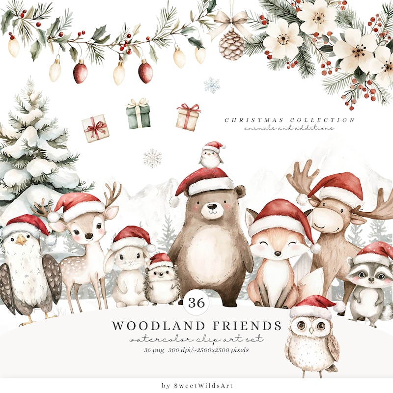 Baby Animal Clip Art - Etsy