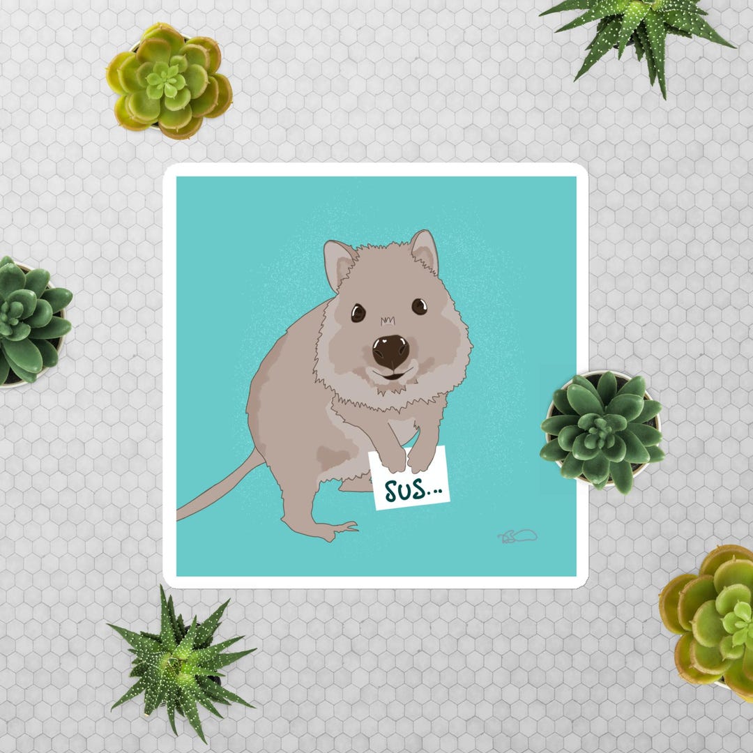 Sus Quokka Magnet - Etsy