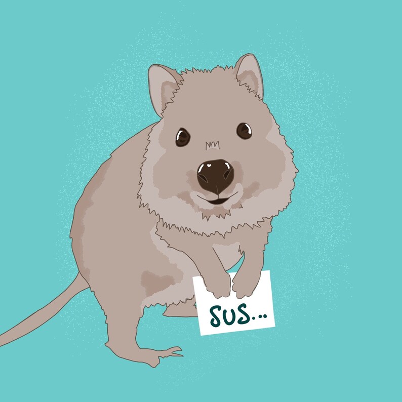 Sus Quokka Cross Stitch Pattern (200x200) - Etsy
