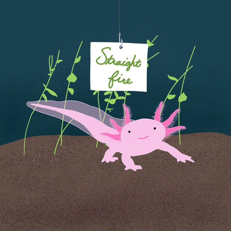 Straight Fire Axolotl Cross Stitch Pattern (250x250) - Etsy