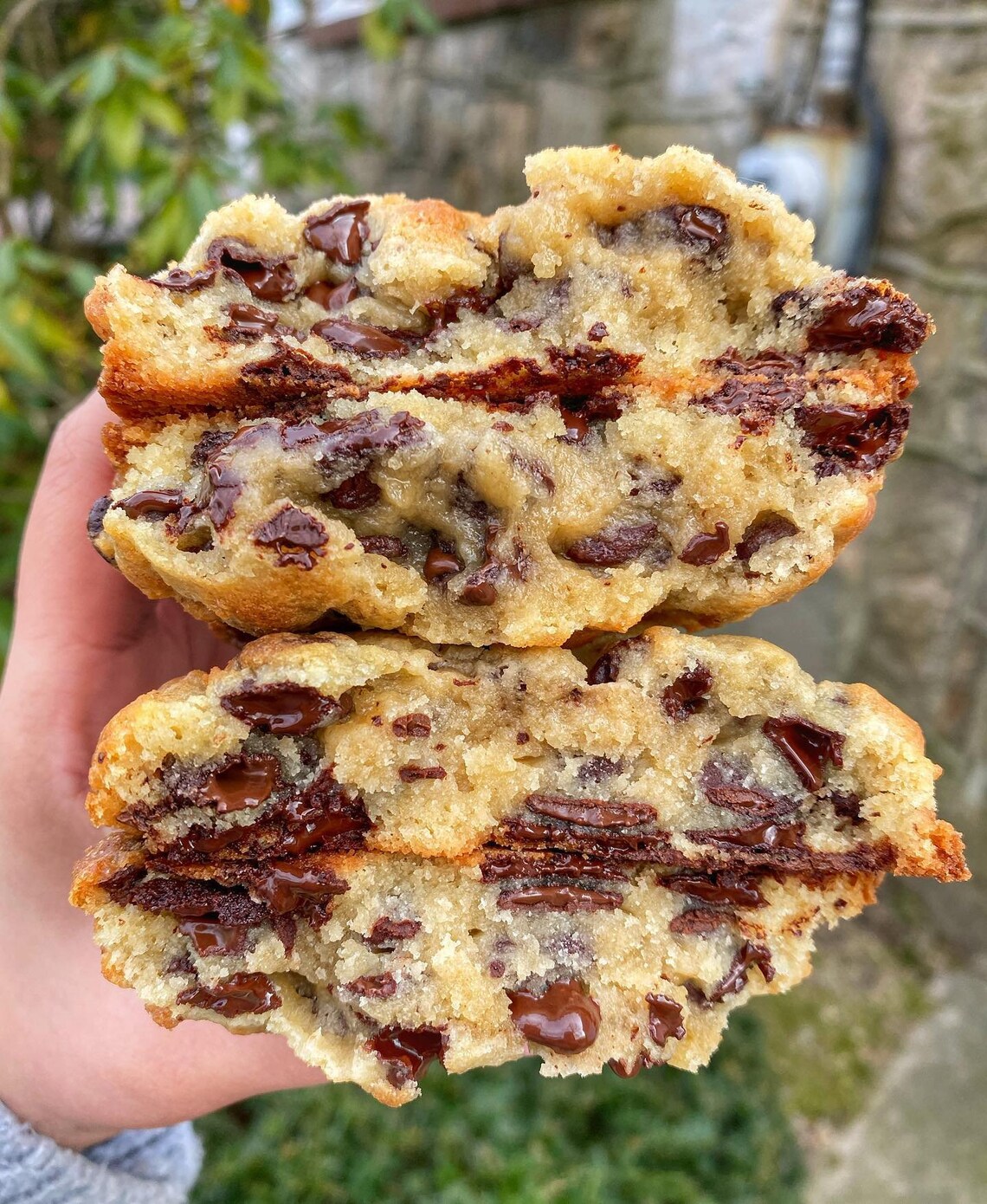 Chocolate Chip From Levain Bakery Cookie Recipe Gourmet Cookie Recipe ...
