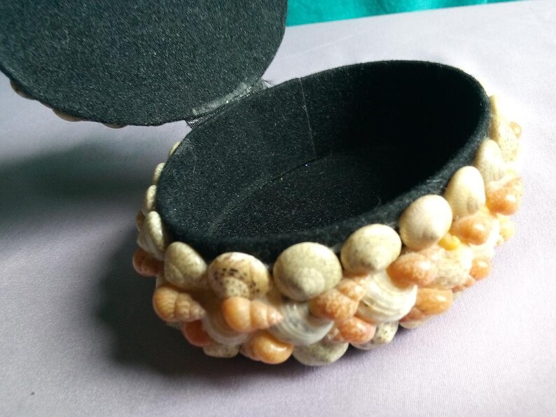 Shell Jewelry Box/trinket small 5 1/2 X 4 1/2 - Etsy