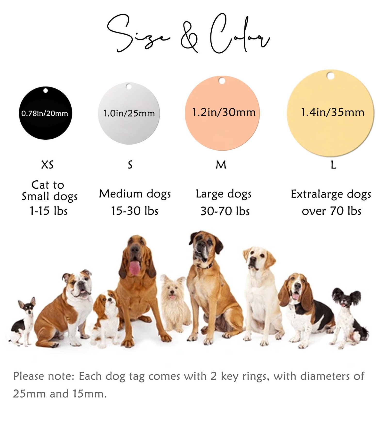 Personalized Dog Tag for Dogs,engraved Dog Name Tag,custom Dog ID Tag ...