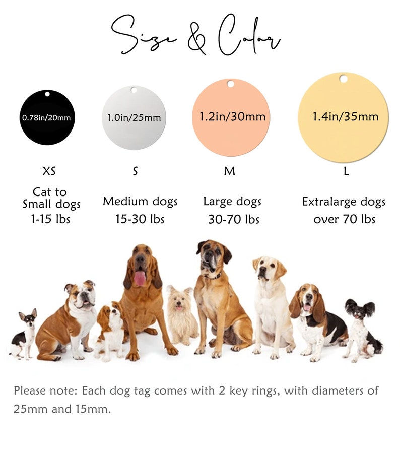 Personalized Dog Tag for Dogs,engraved Dog Name Tag,custom Dog ID Tag ...