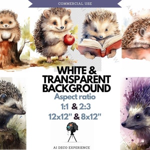 Watercolor Hedgehog Clipart Bundle. Instant Download PNG Files for Your ...