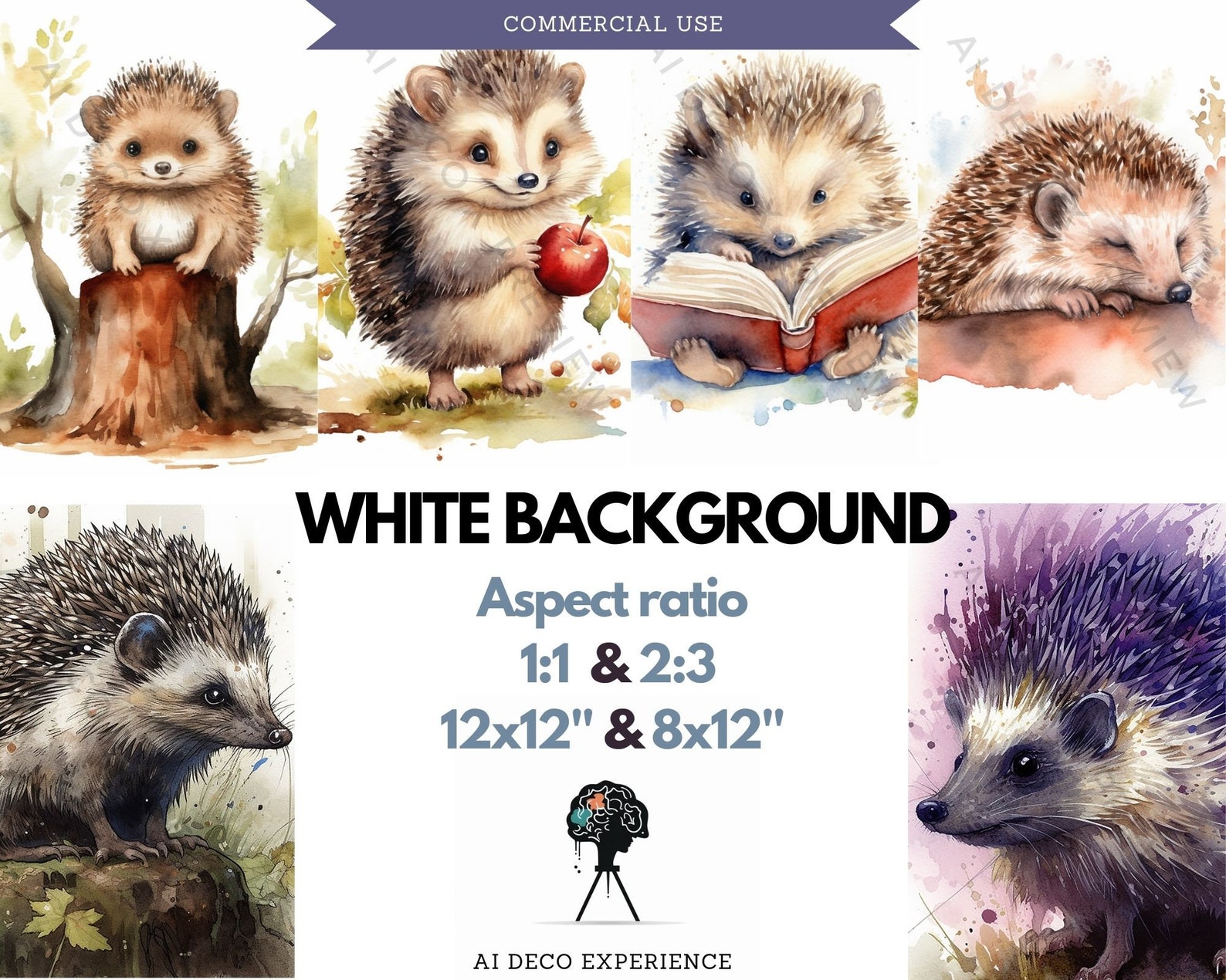 Watercolor Hedgehog Clipart Bundle. Instant Download PNG Files - Etsy