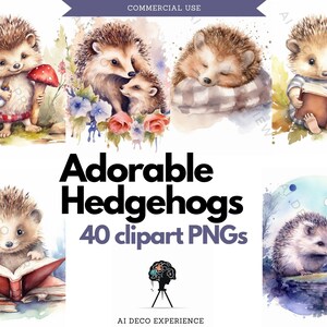Watercolor Hedgehog Clipart Bundle. Instant Download PNG Files - Etsy