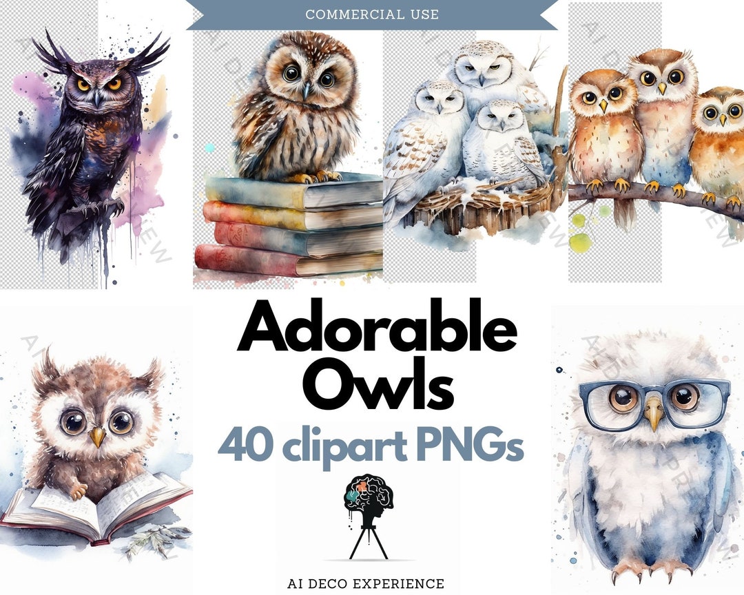 Watercolor Owl Clipart Bundle. Instant Download PNG Files for Your ...