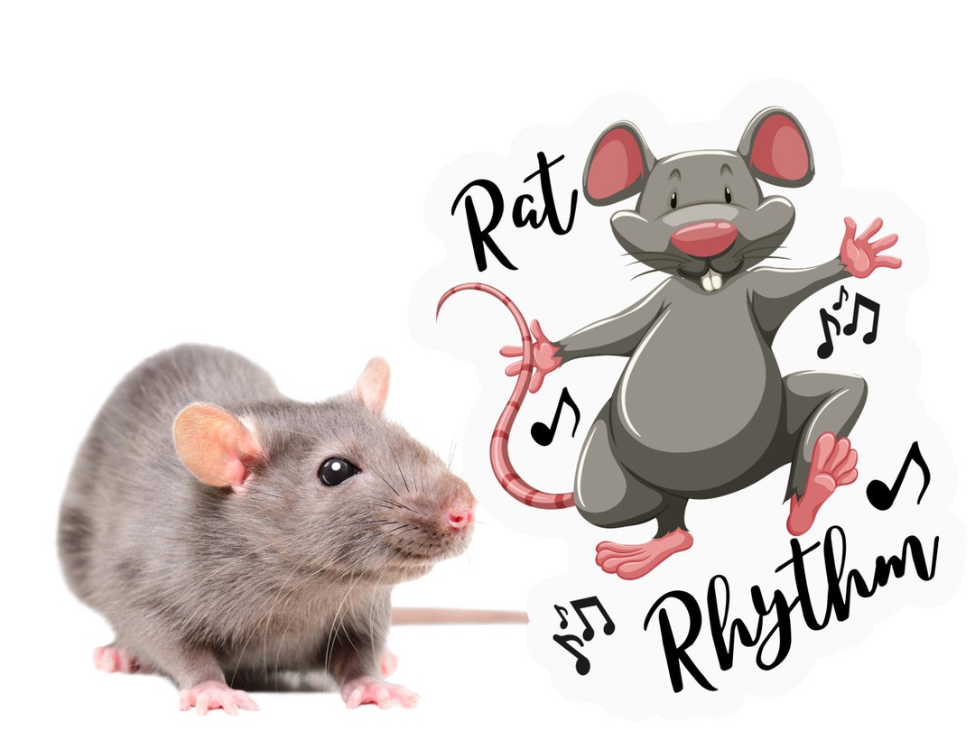 Cute Dancing Rat Sticker / Rodent Sticker / Cute Animal Stickers ...