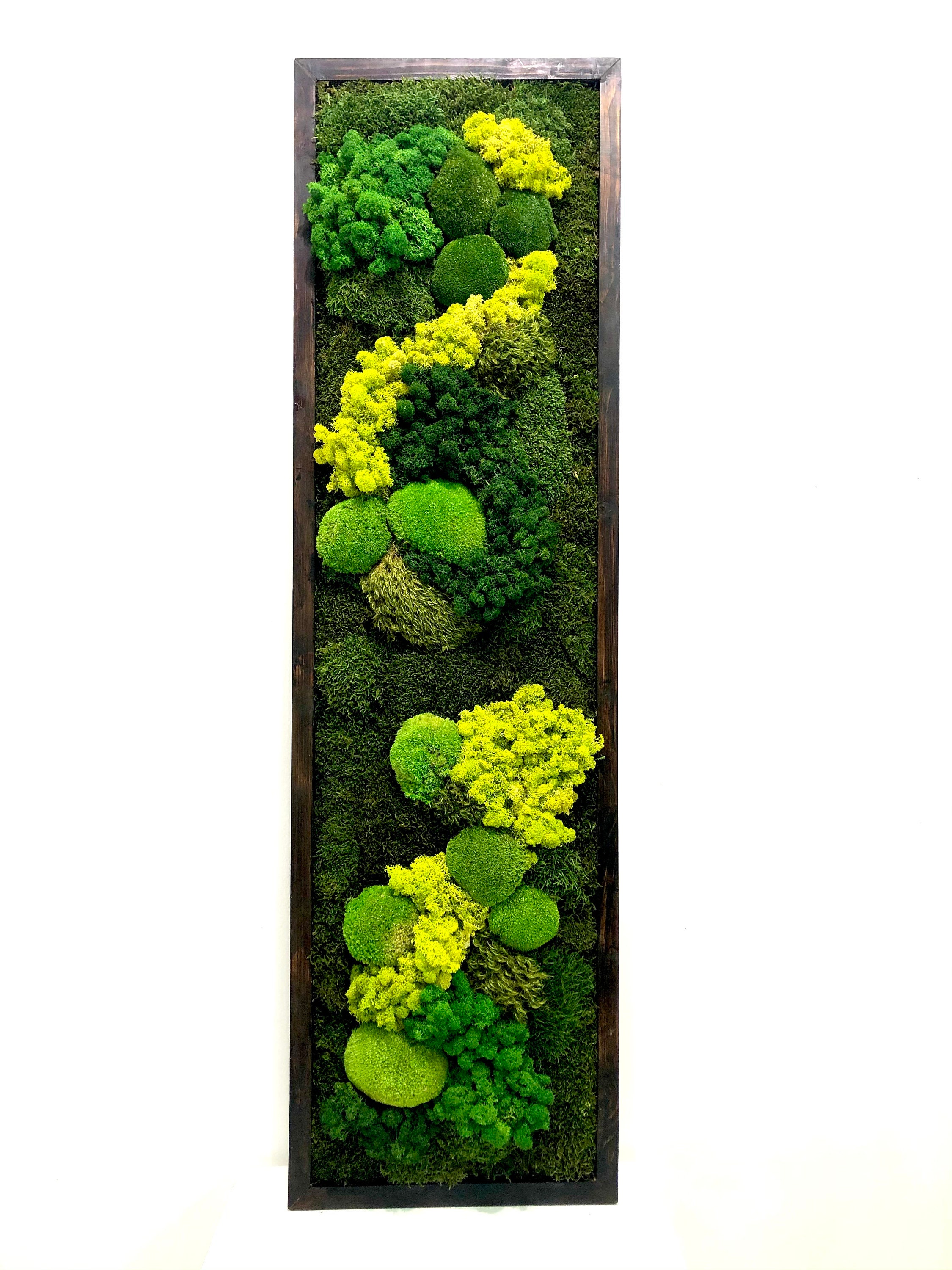 Moss Wall Art, Designer Painting With Preserved Moss, Reindeer Moss and ...