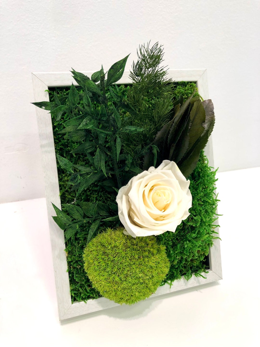 Moss Painting With Plants and Mini Rose Mossy Wall Art Moss - Etsy