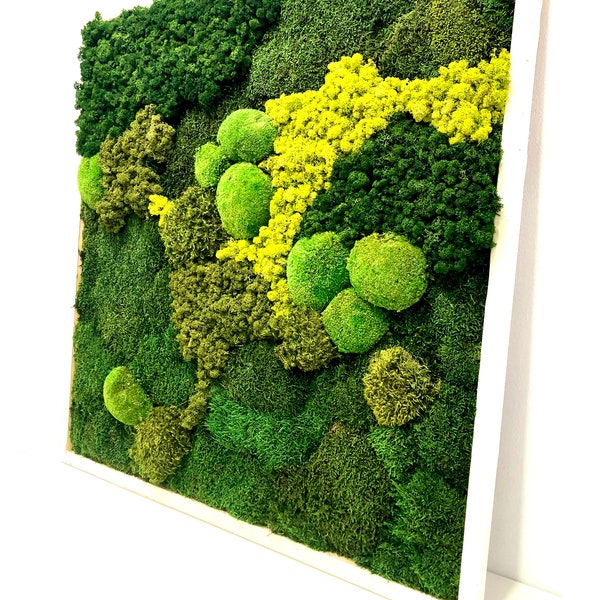 Moss Frame - Etsy