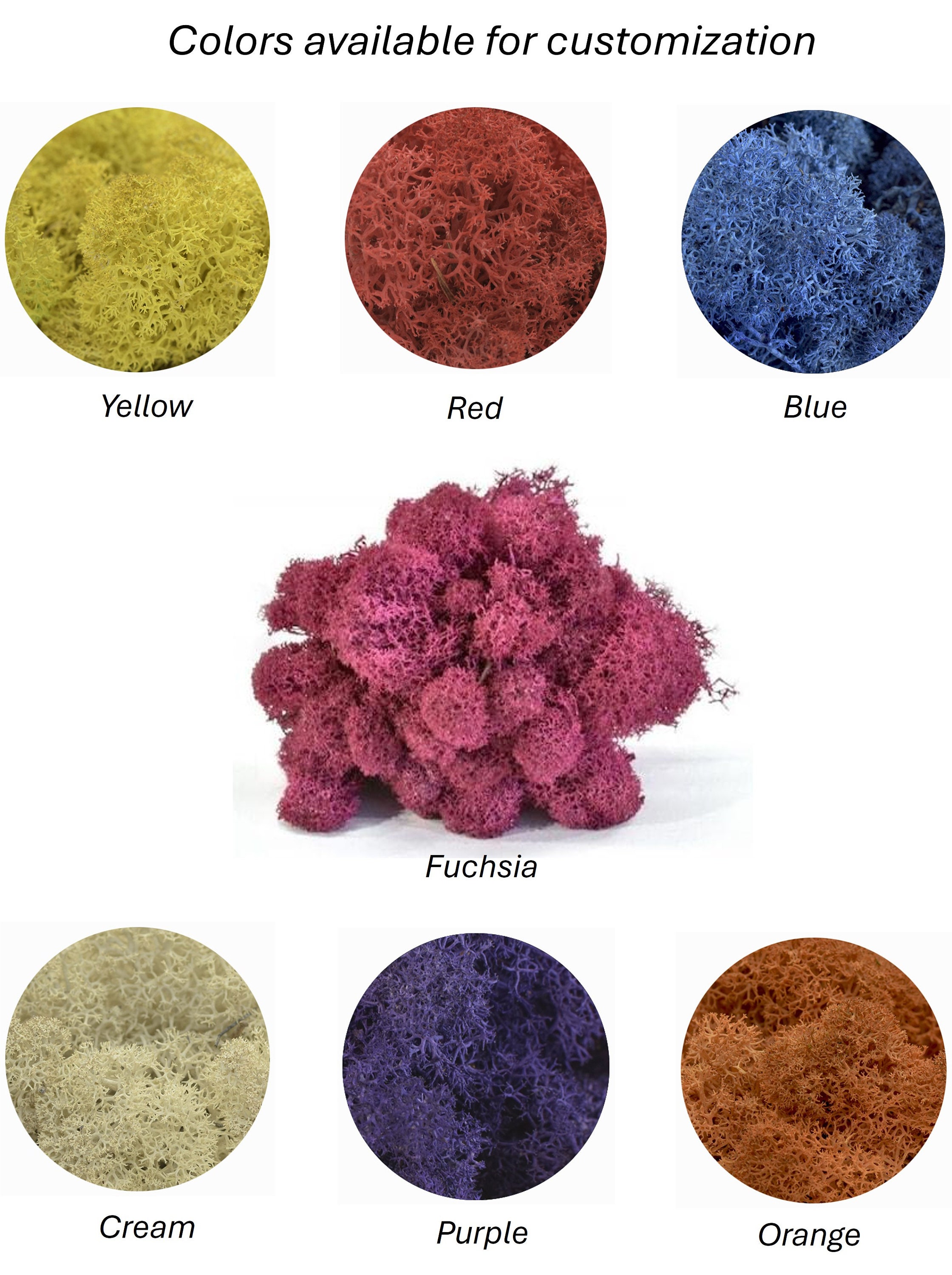 Moss Wall Art, Moss Painting With Customizable Colors, Nature Room ...