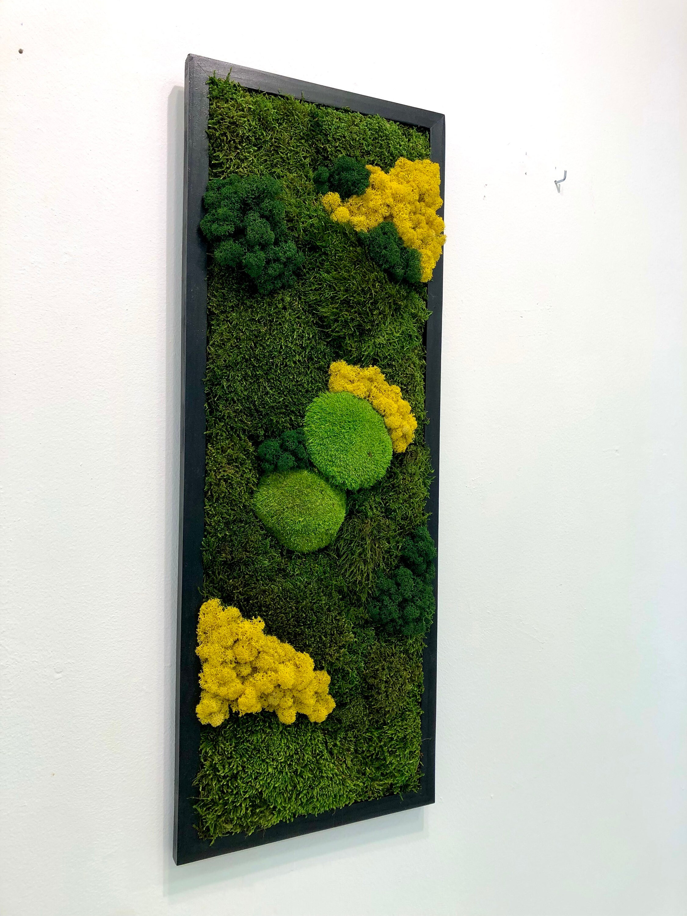 Moss Wall Art, Moss Painting With Customizable Colors, Nature Room ...