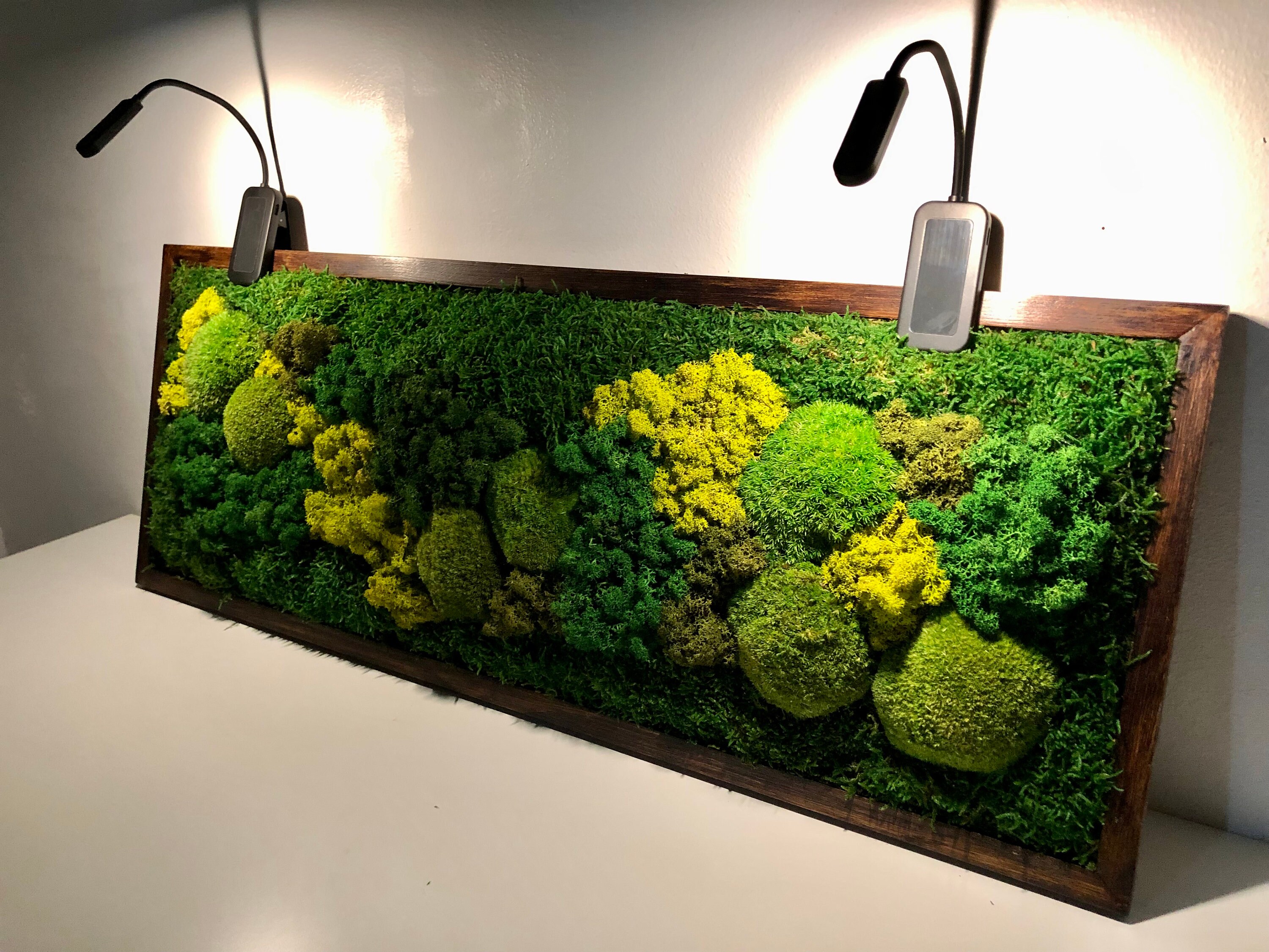 Moss Wall Art, Designer Painting With Preserved Moss, Reindeer Moss and ...