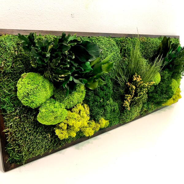 Moss Frame - Etsy