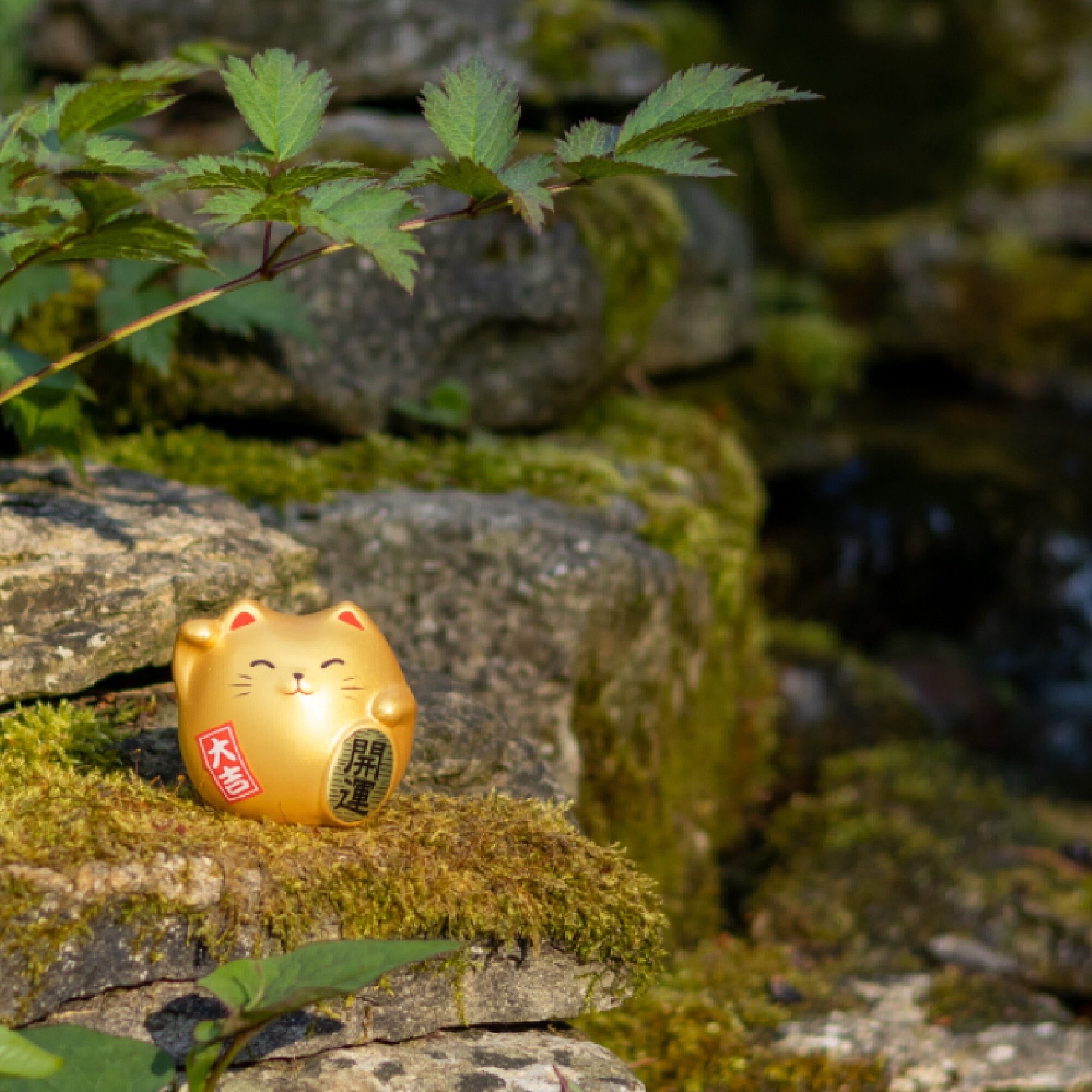 Japanese Maneki Neko Gold Lucky Cat for Good Fortune and Handmade Gift ...