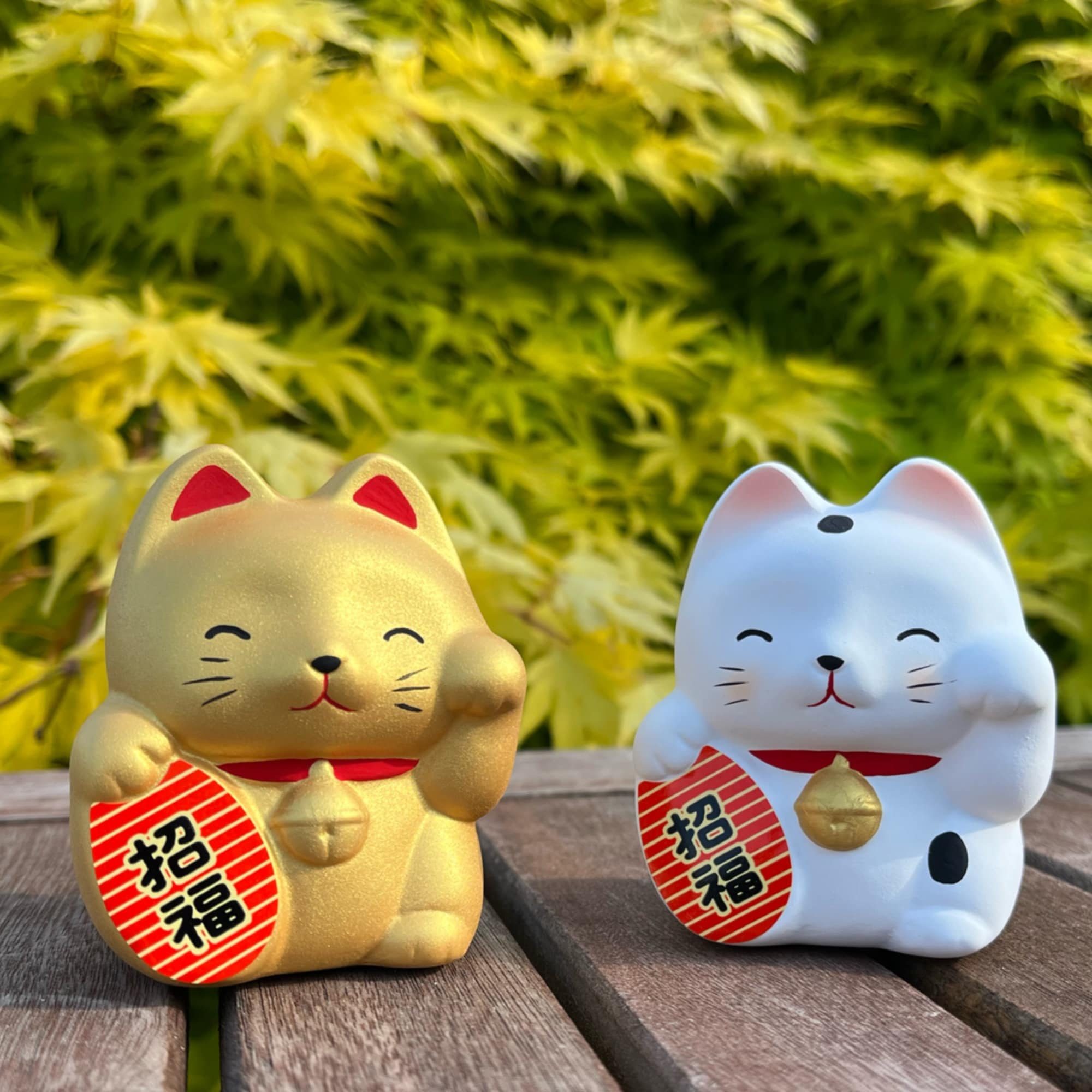 Japanese Maneki Neko, Gold Lucky Cat rosie Posy-for Good Fortune With ...