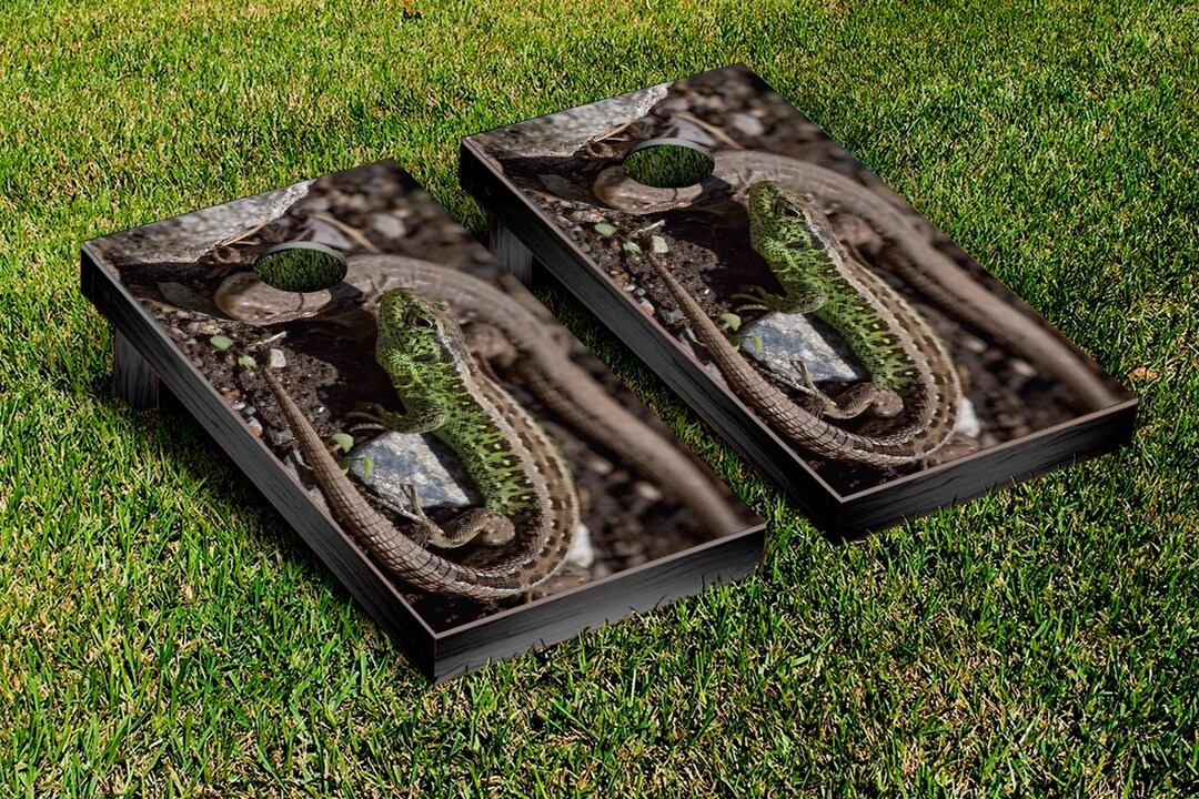 Reptile Lizard | Cornhole Wrap Design | Cornhole Board Maker | Cornhole ...