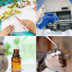 Various Graduated Droppers Disposable Plastic Transfer Pipettes Ideal ...