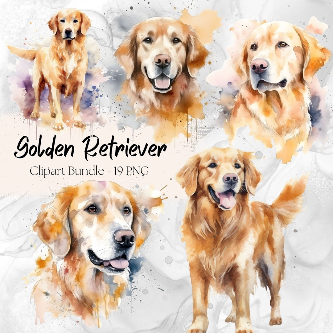 Golden Retriever Clipart PNG Puppy Dog Instant Digital Download Clip ...