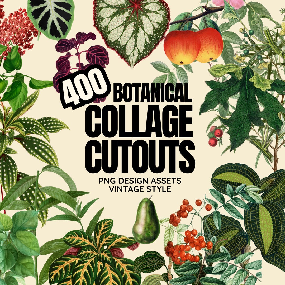 400 Botanical Collage PNG Cutouts: Plant, Tree, Foliage, Fruit ...