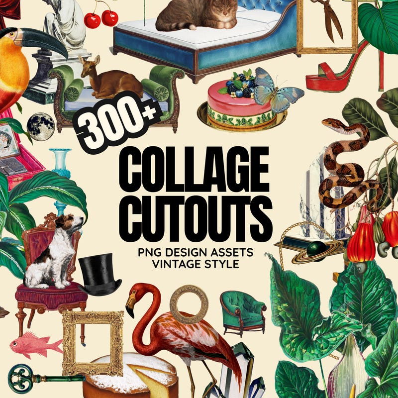 Raum und botanisch - Etsy.de