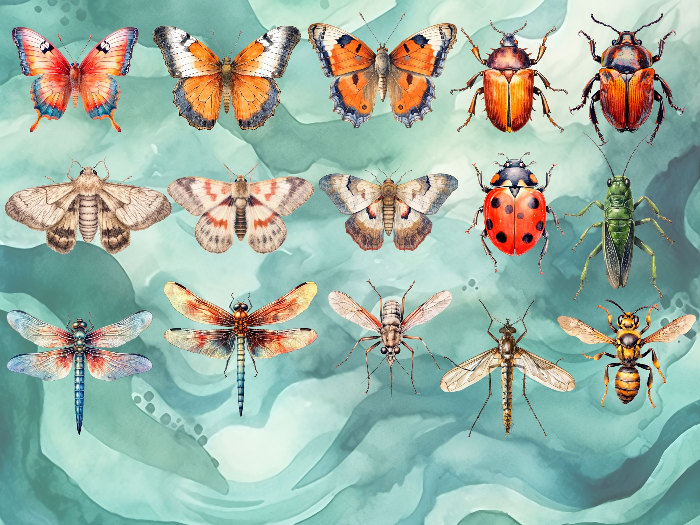 30 Watercolor Bugs Png Clipart, Digital Download, Junk Journal ...