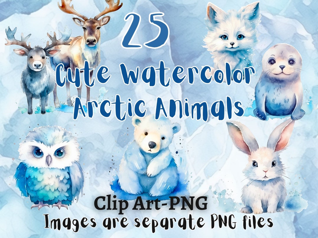 25 Cute Watercolor Arctic Animals, Png, Digital Download, Paper Craft ...
