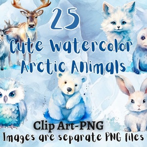 25 Cute Watercolor Arctic Animals, Png, Digital Download, Paper Craft ...