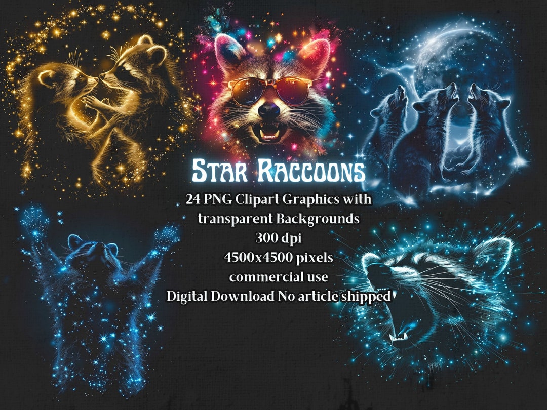 24 Star Raccoons, PNG, Transparent Background, Printable, Clipart ...