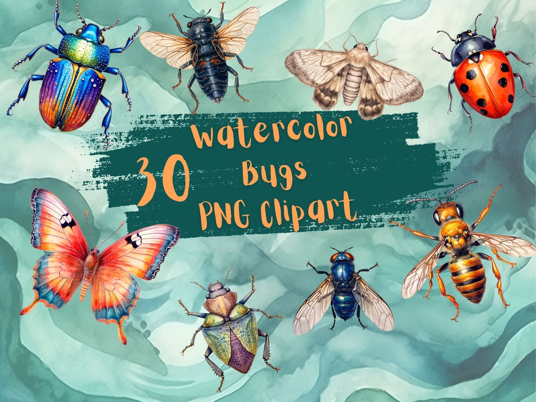 30 Watercolor Bugs Png Clipart, Digital Download, Junk Journal ...