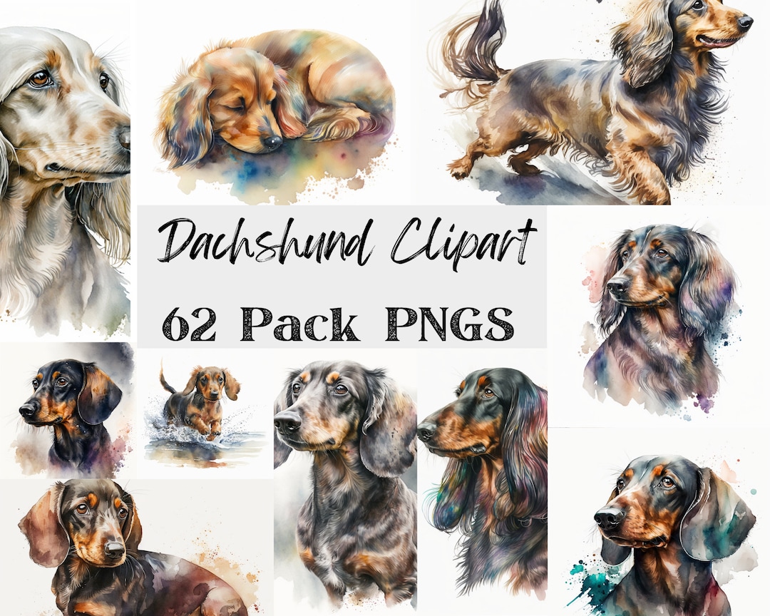 62 Watercolor Dachshund Bundle, Dog Clipart Graphics in PNG Format for ...