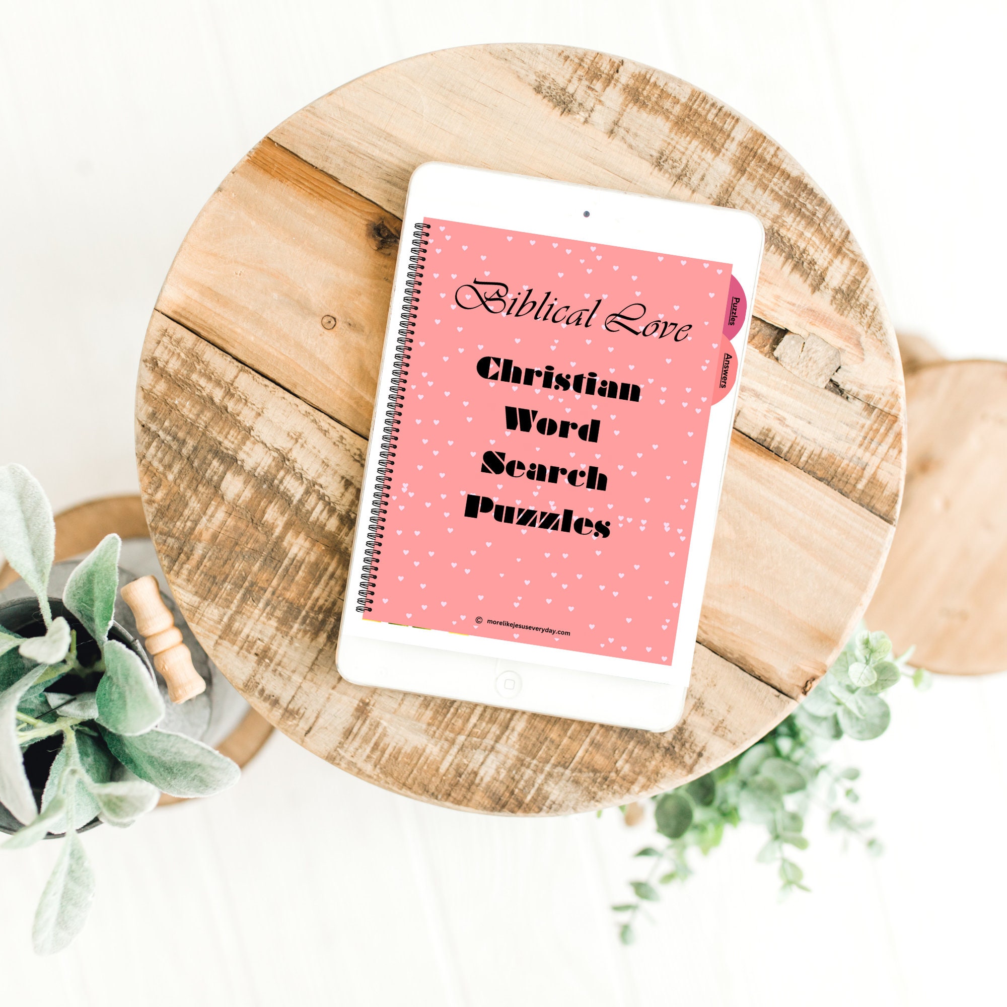 Christian Word Search Puzzle Book: Biblical Love, Ecofriendly Digital ...