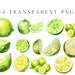 32 Watercolor Lime Clipart Bundle, PNG, Fruits Clipart, Refreshing ...