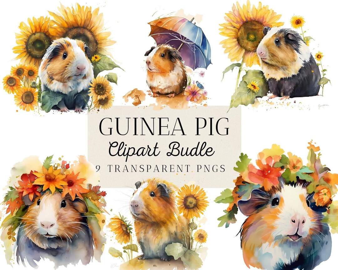 9 Watercolor Guinea Pig Clipart Bundle, PNG, Transparent, Commercial ...
