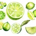 32 Watercolor Lime Clipart Bundle, PNG, Fruits Clipart, Refreshing ...