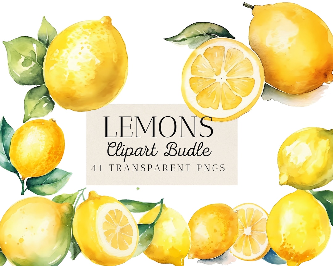 41 Watercolor Sweet Lemons Clipart Bundle, Refreshing Summer Delights ...