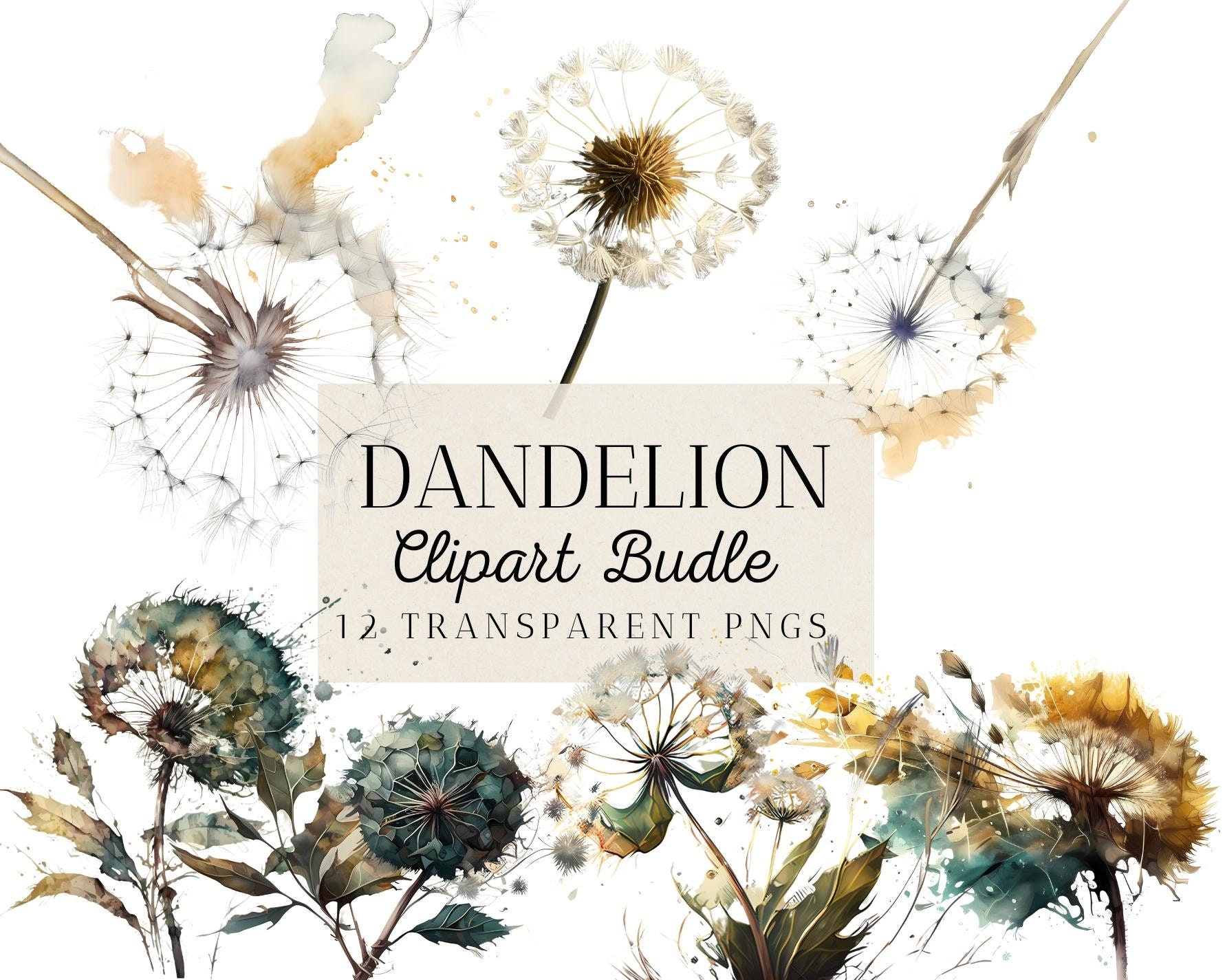 12 Watercolor Dandelion Clipart Bundle Floral Spring - Etsy