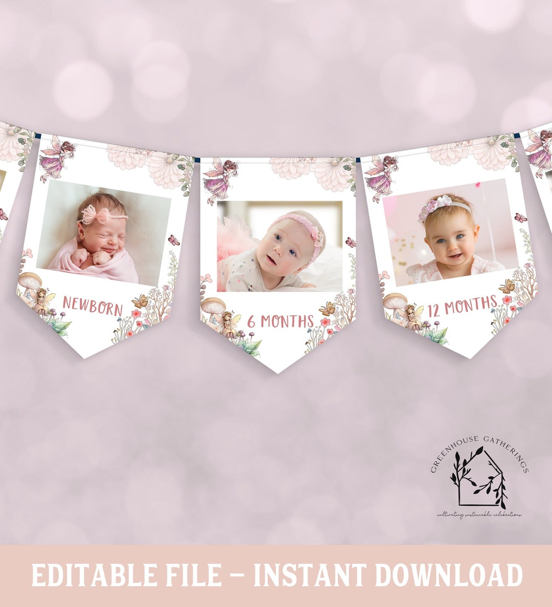 Editable Fairy First Birthday Monthly Milestone Banner Enchanted ...