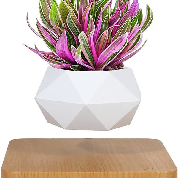 Floating Plant Pot - Etsy