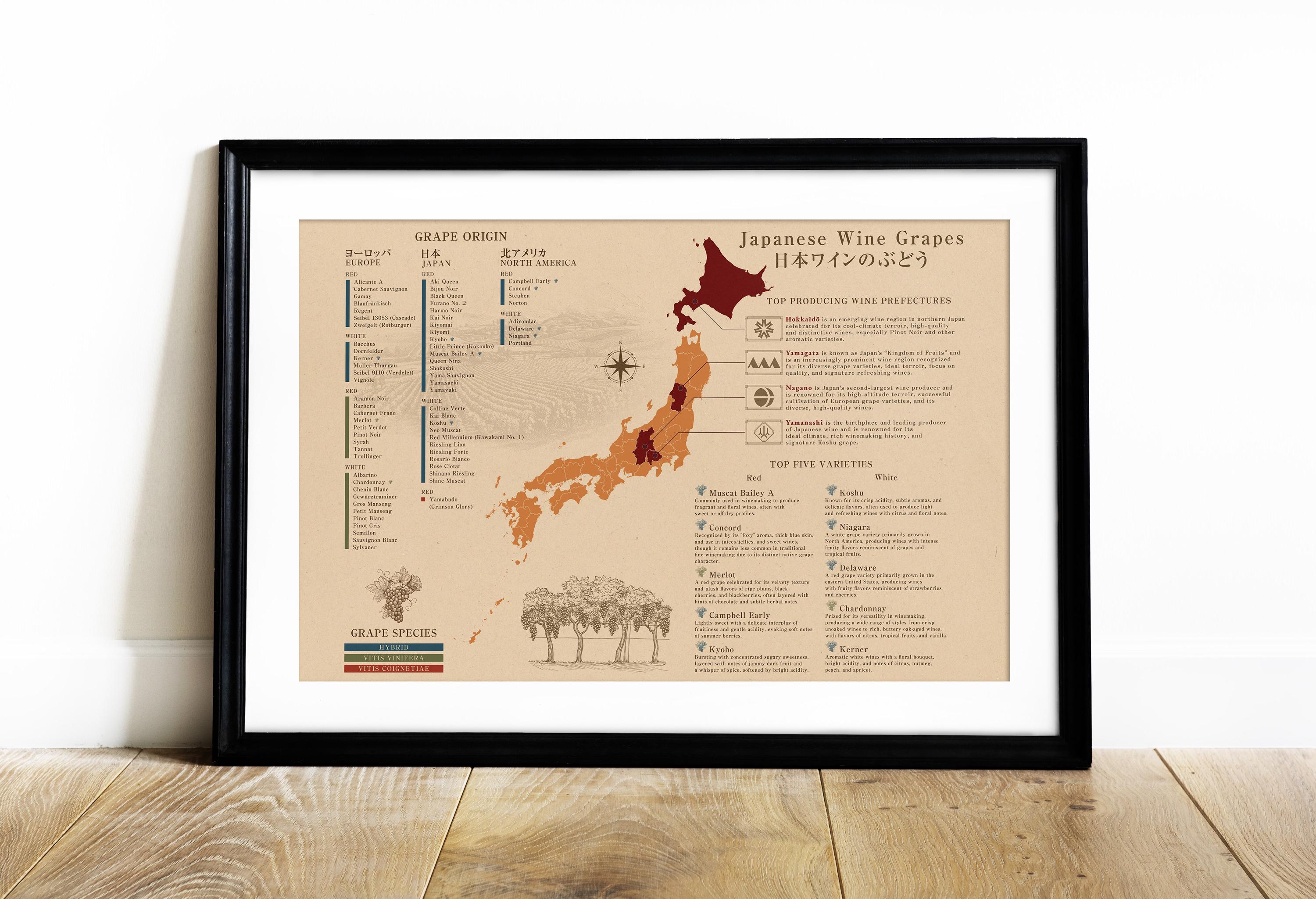 Japanese Wine Grapes Map Print, Japan Decorative Map, Gift for Wine ...