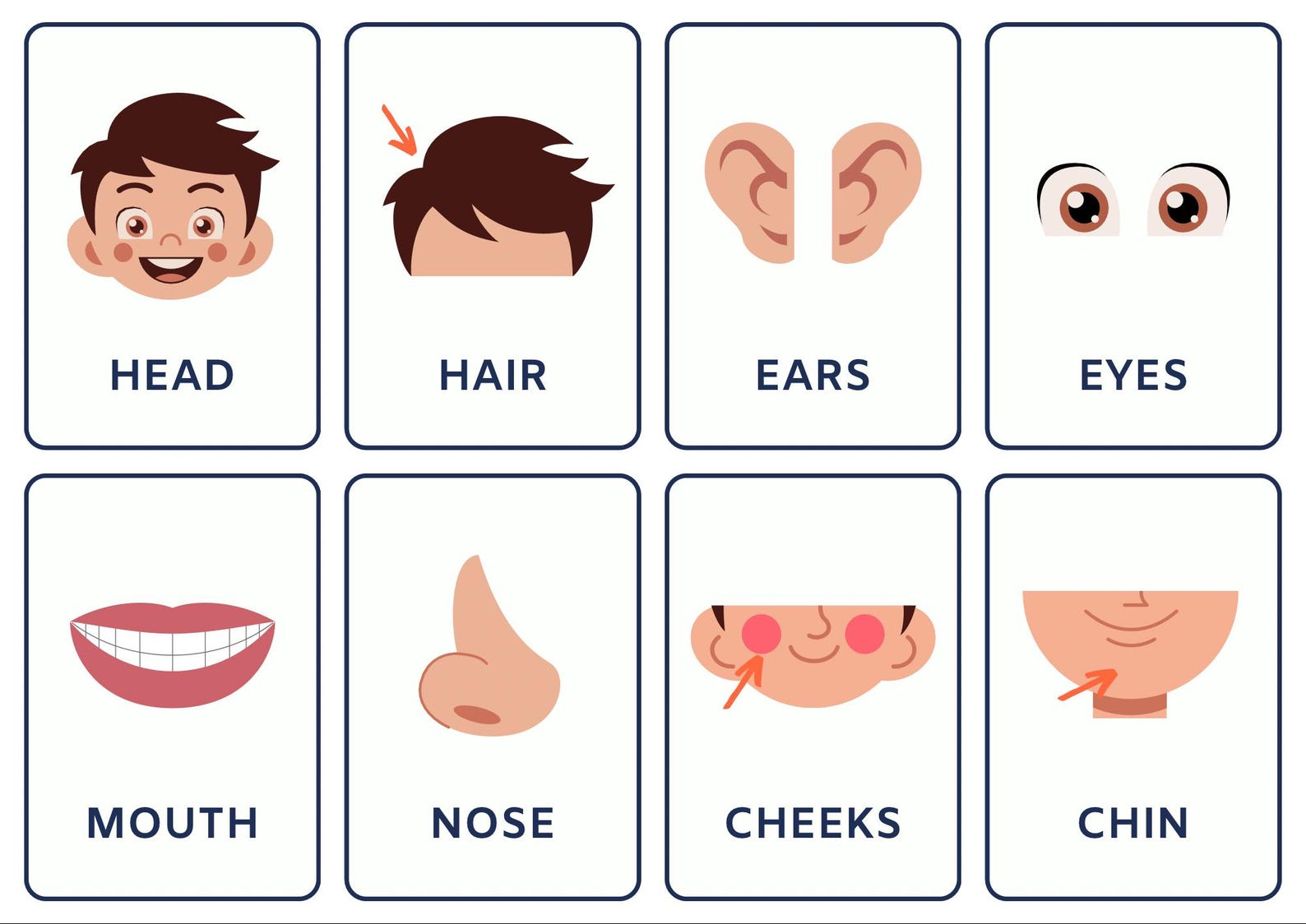 Body Part Flashcards English-french - Etsy