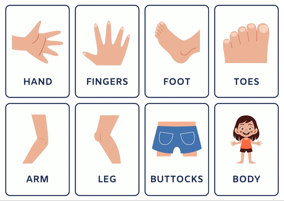 Body Part Flashcards English-french - Etsy