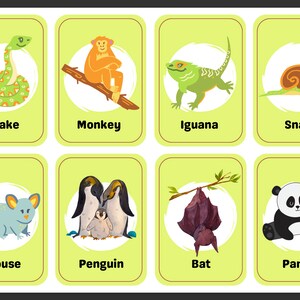 160 English to French Flashcards for Beginners and School Students - Etsy