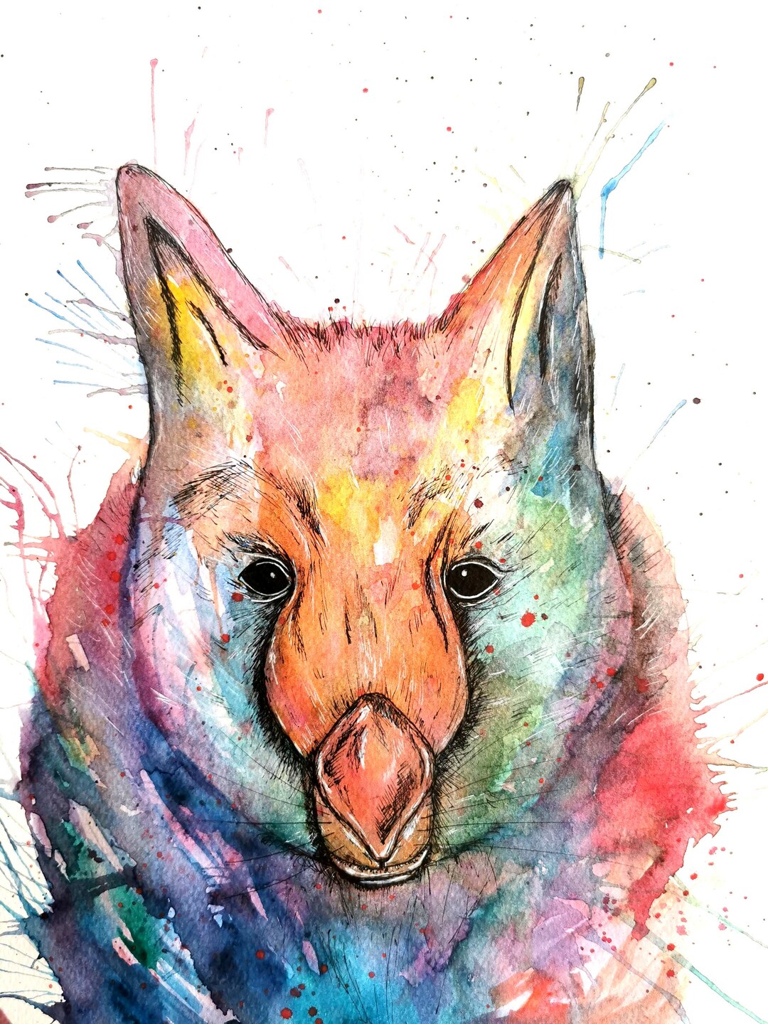 Vibrant Rainbow Coloured Wombat Original Painting. Watercolour and Pen ...