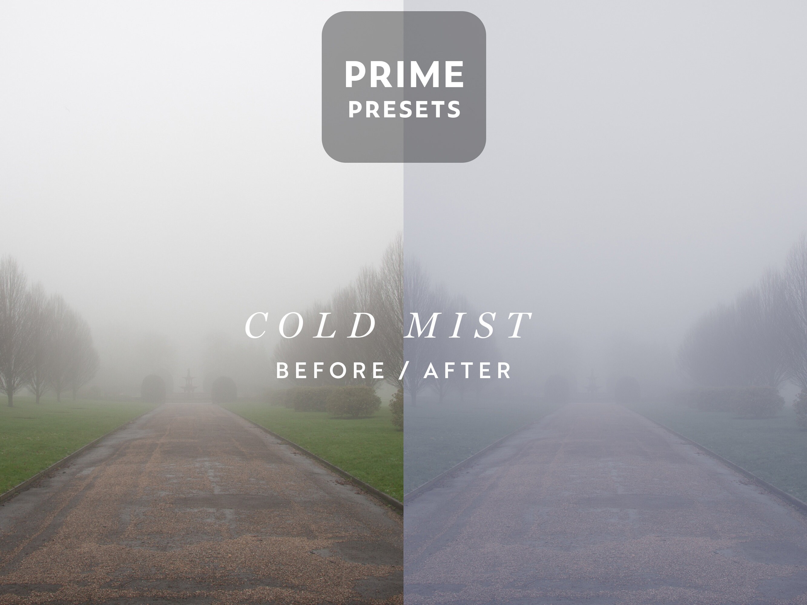 5 Ghost Mobile & Desktop Presets for Lightroom, Goth Preset, Halloween ...