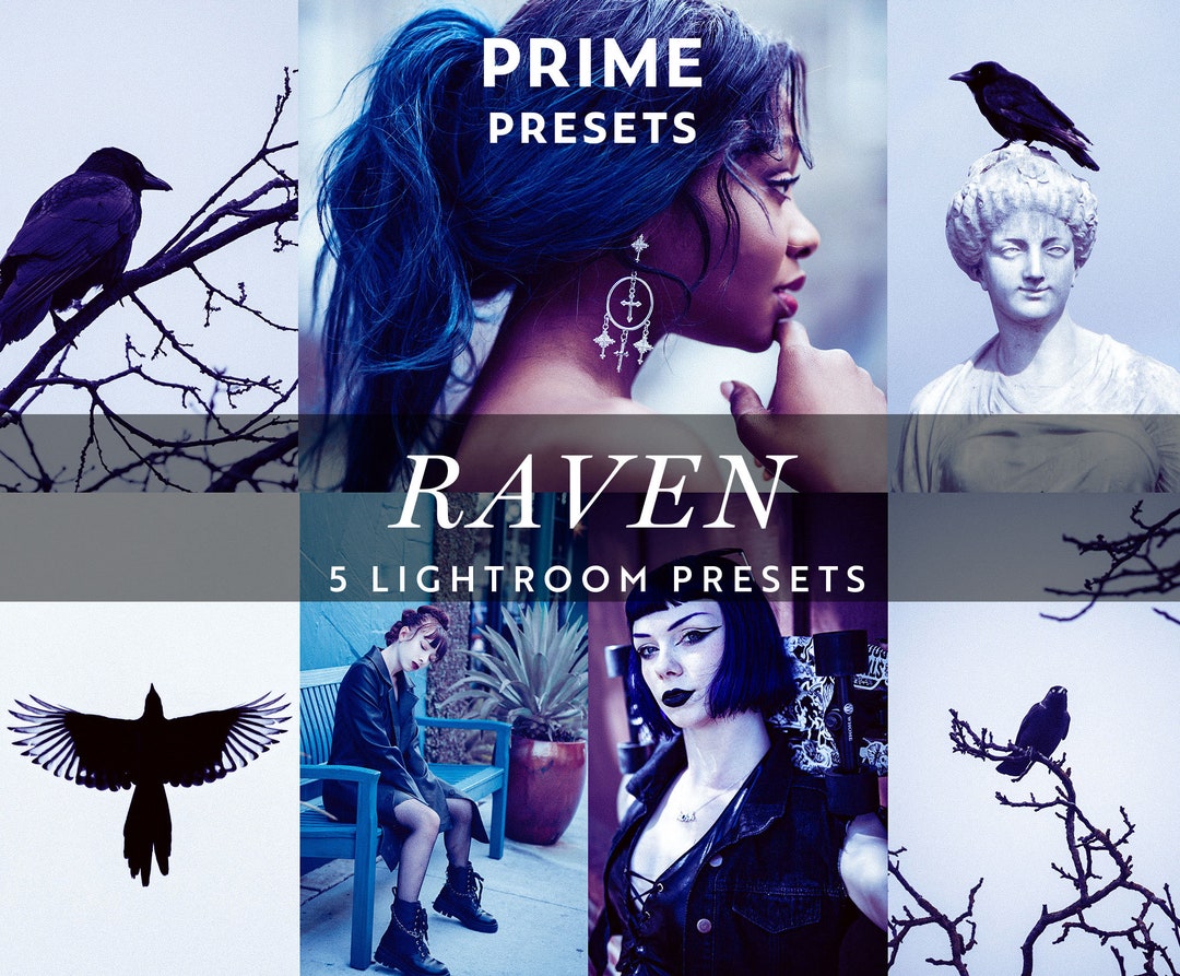 5 RAVEN Lightroom Mobile & Desktop Presets Dark Winter Filter Goth ...